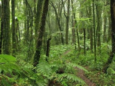 KOROK’s Sustainability Journey - KOROK Fire and Acoustic Wall Systems