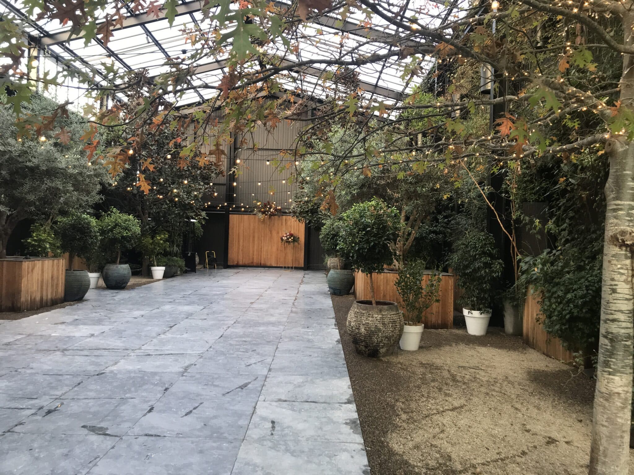 The Glasshouse, Morningside - KOROK Fire and Acoustic Wall Systems